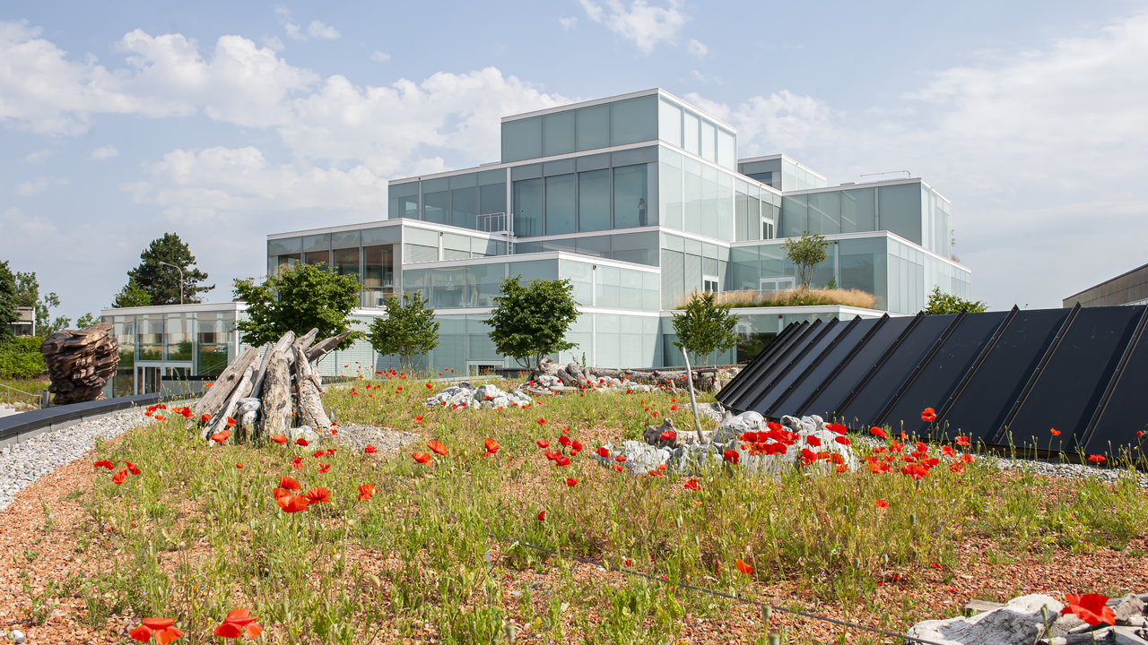 Quo Vadis, Global Trade? IfTI Global Symposium 2024 goes to Switzerland